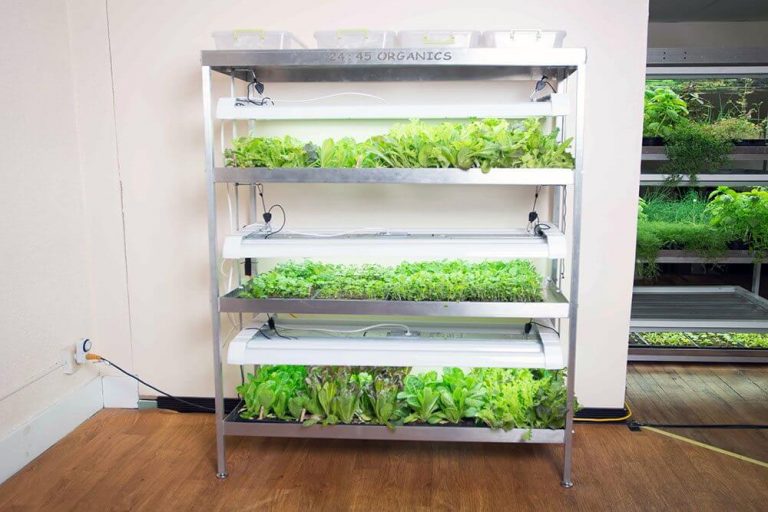 30+ Model Rak Bunga Minimalis dari Besi dan Kayu Terbaru 2021