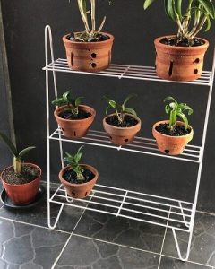 Model Rak Anggrek dari Besi, Ide Minimalis! Desain Tempel dan Gantung