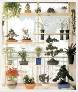 Model Rak Anggrek dari Besi, Ide Minimalis! Desain Tempel dan Gantung